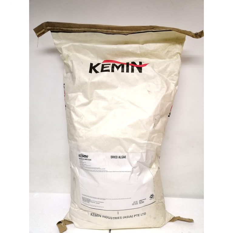 DRIED ALGAE – PT SHS International