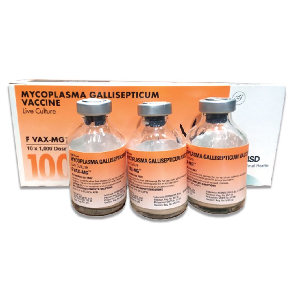 Products – Laman 5 – PT SHS International